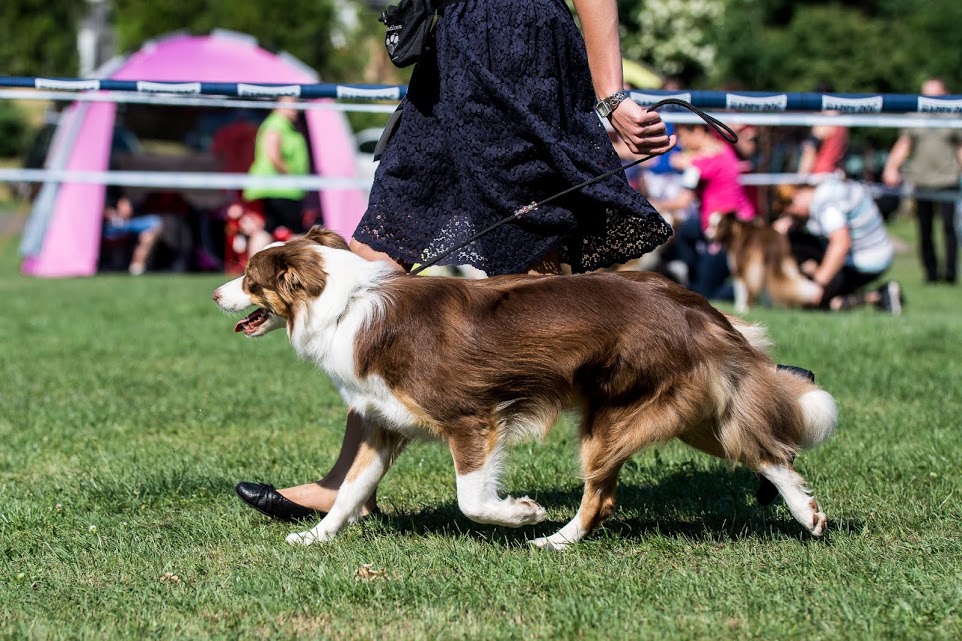 CALLIE COLETTE CALISTA PARADISE :: CALISTA PARADISE